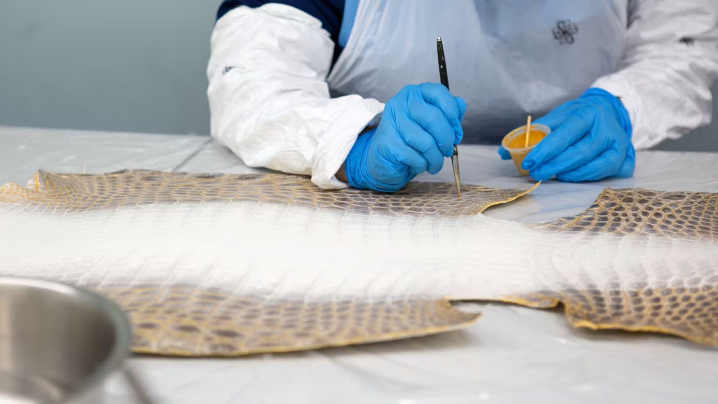 In 2026, the Market for Rare Leathers Remains a Complex and Ambiguous ...